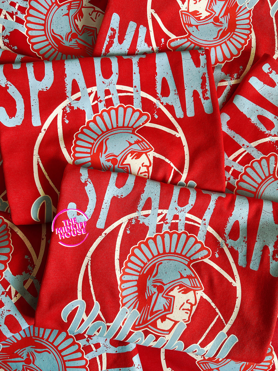 SPARTAN VOLLEYBALL VINTAGE STAMP TEE – themidkiffhouse